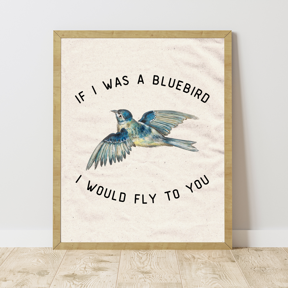 Big Blue Screen Studio